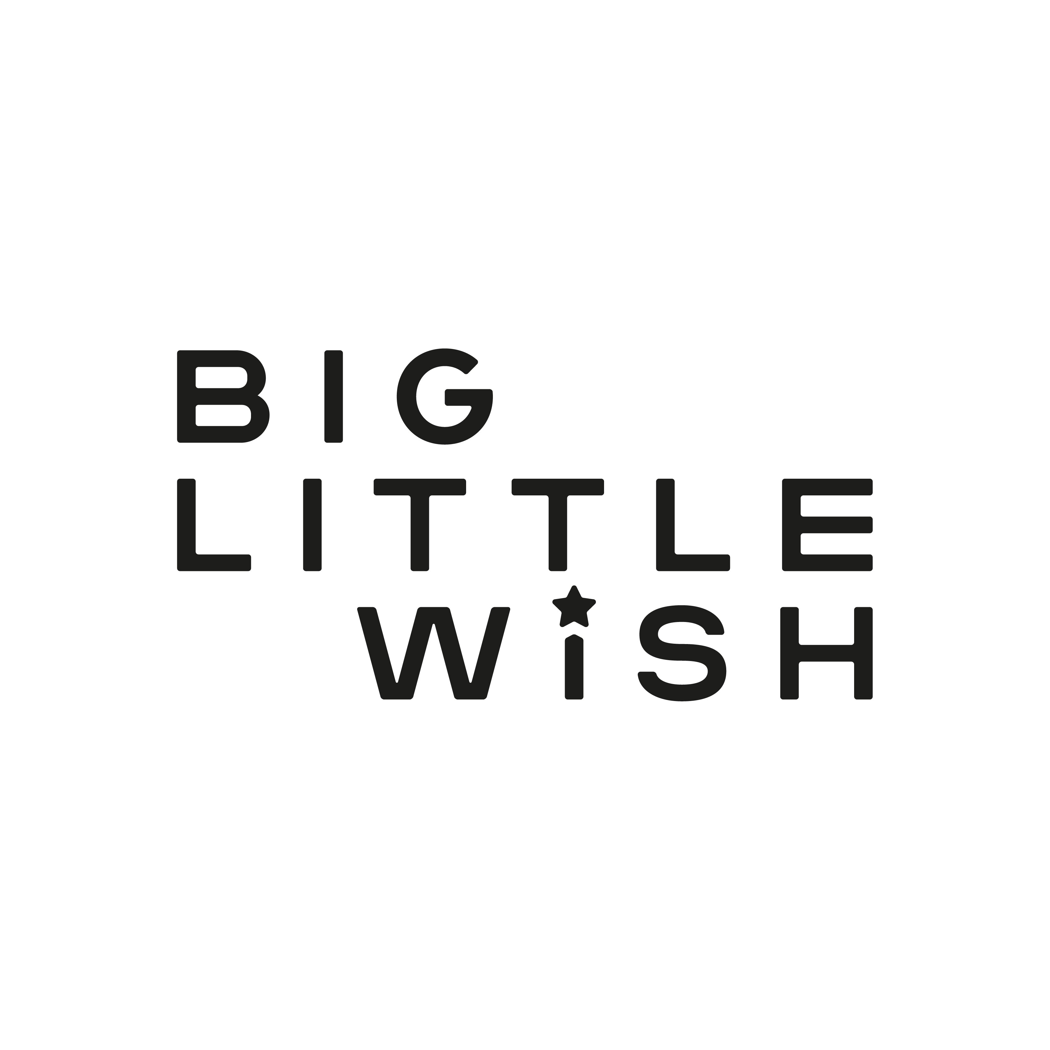 Collaboration Bags – Big Little Wish